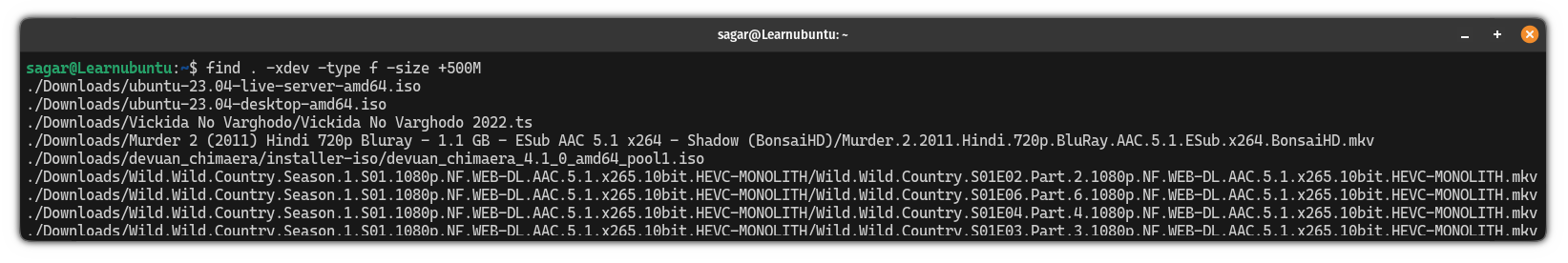 Find Large Files on Ubuntu