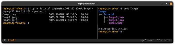 Use scp Command in Ubuntu
