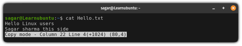 Copy Paste in Ubuntu Terminal