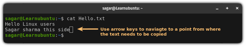 Copy Paste in Ubuntu Terminal