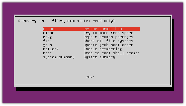 Exploring the Recovery Mode in Ubuntu
